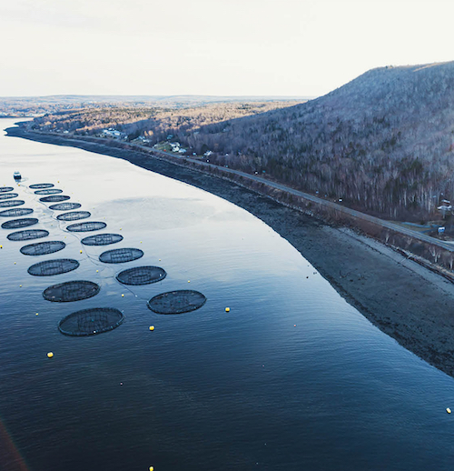 Our Story – Marfo FMA